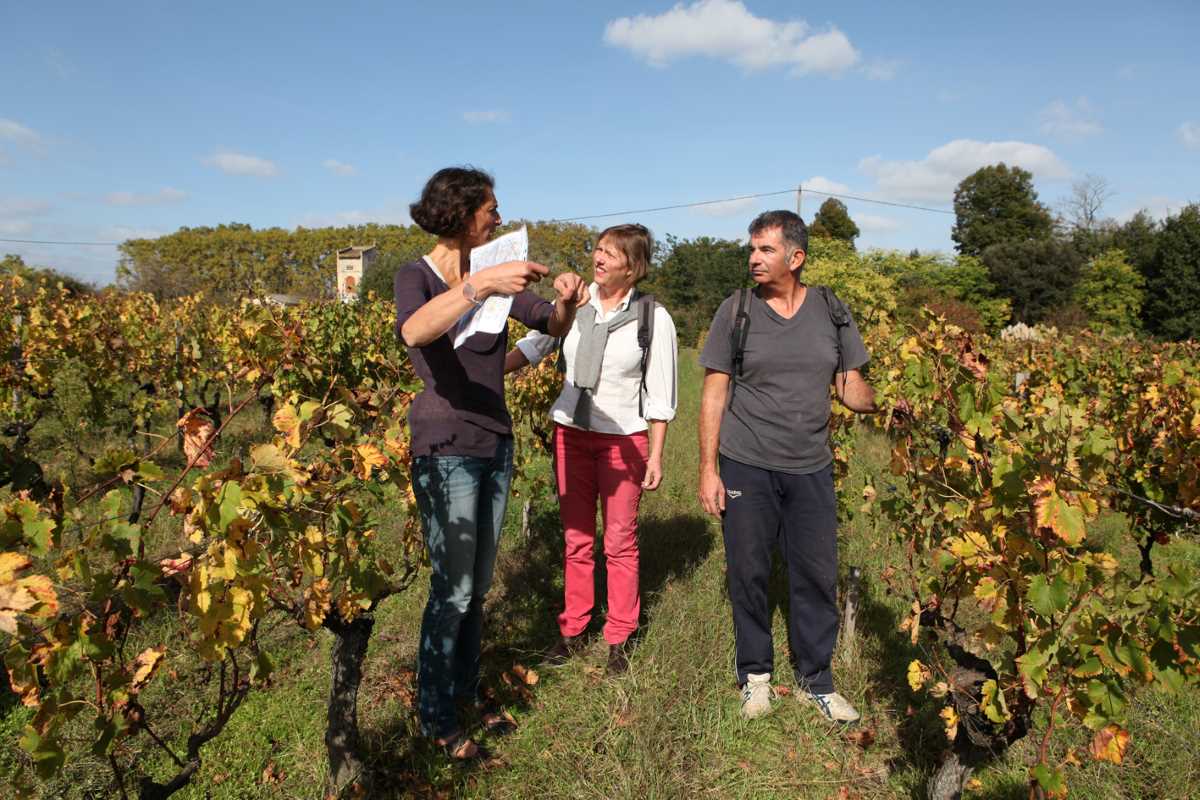Course d'orientation et dégustation en AOC Pessac-Léognan - Team Build